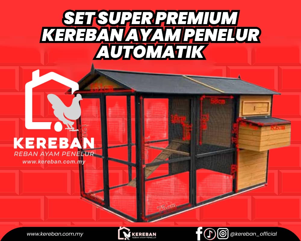 Kereban – Reban Ayam Moden Dengan Teknologi AI